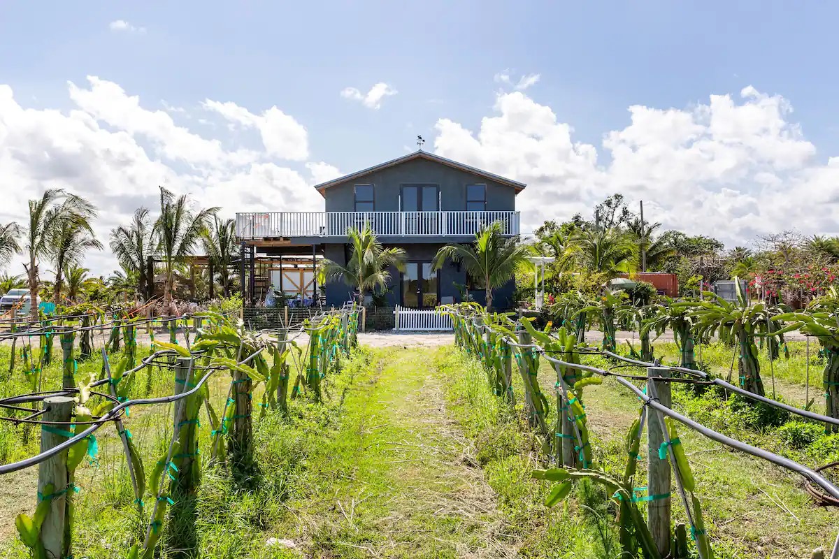 Under the Vine Farm | Florida Farmers Market Toolkit